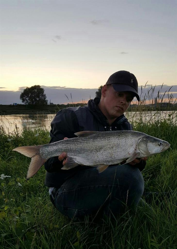 Jackson The Shad details